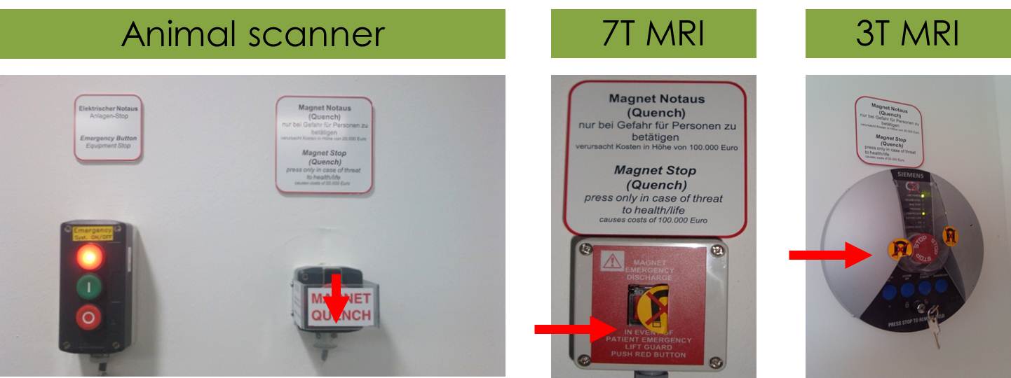 MDC :: Safety Training eng